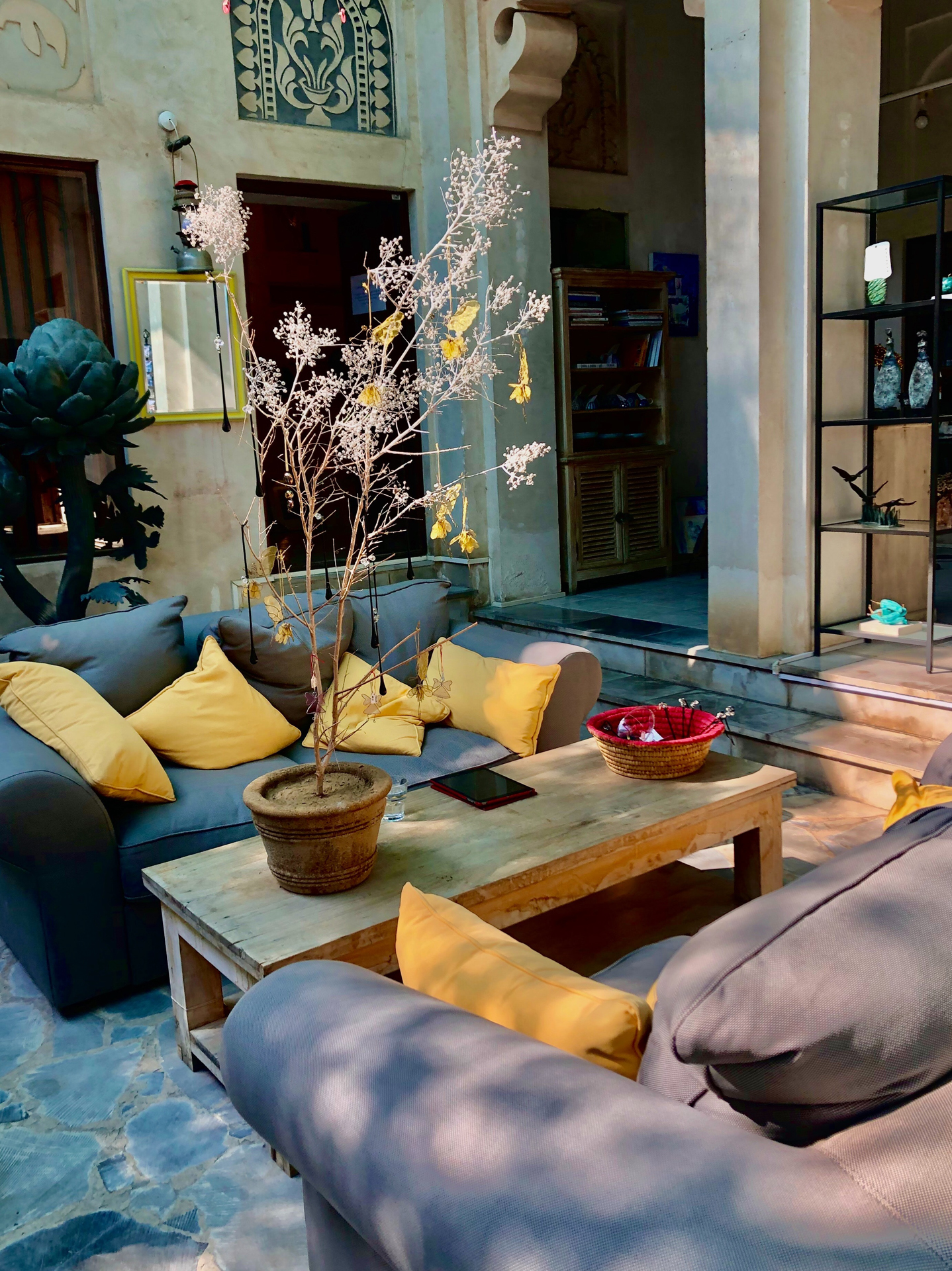 Urban Oasis: Transforming a Compact City Apartment - Tropical Gardening